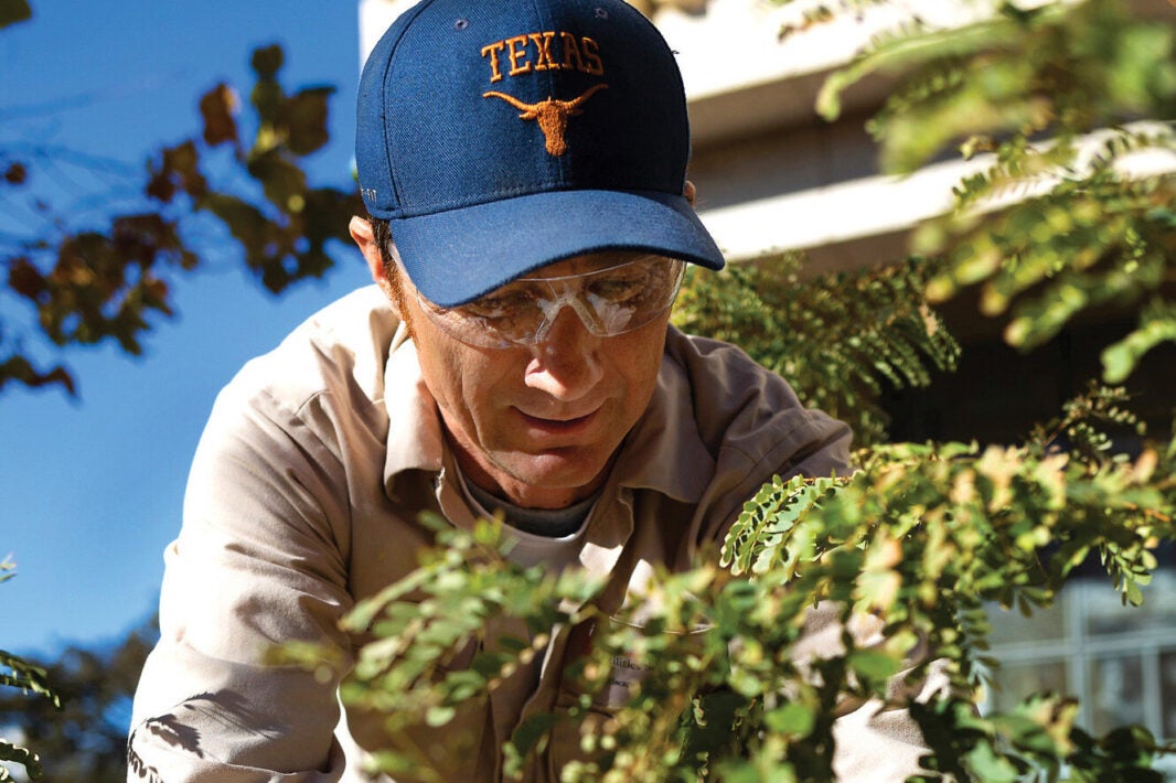 Landscape technician paves transition to make his work better for the ...