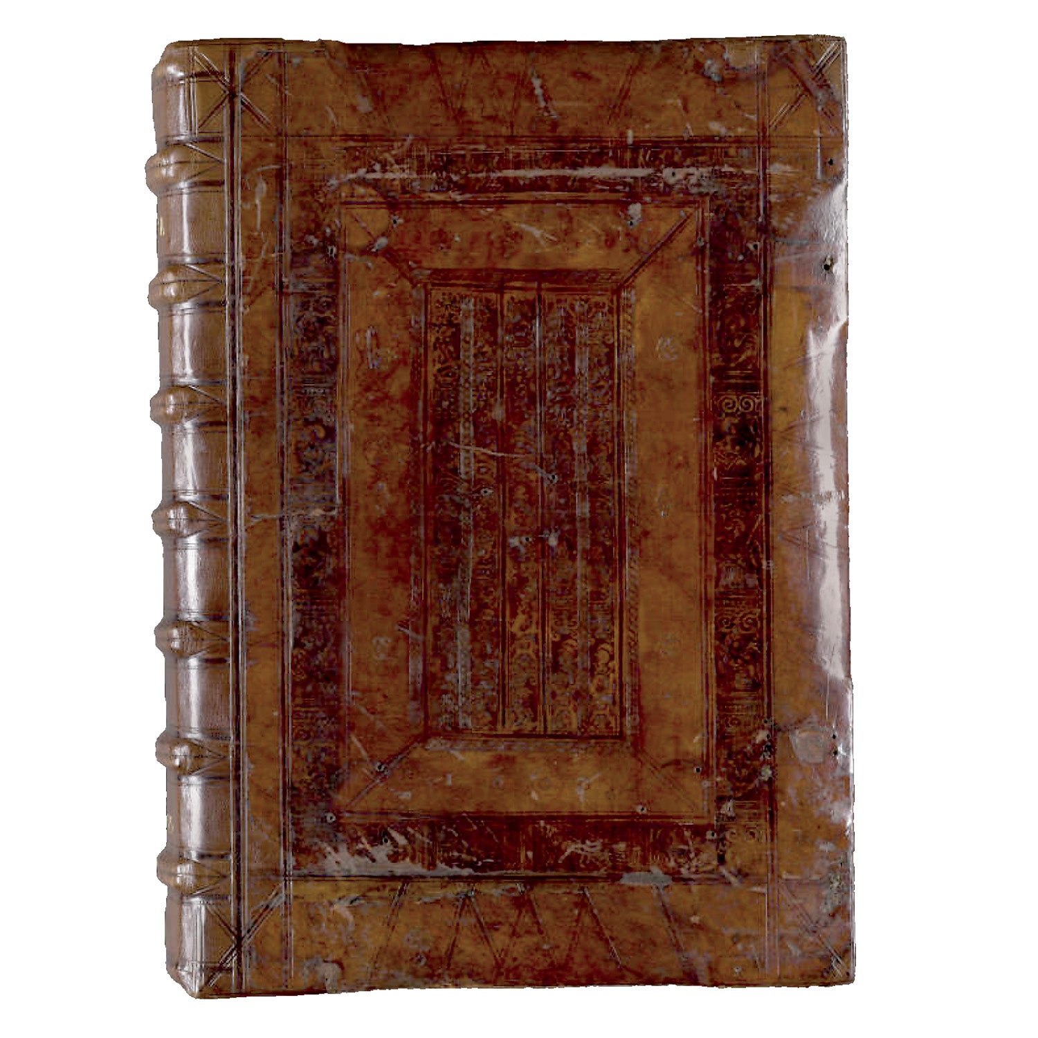 Hidden archives: UT’s renowned collections support education and ...